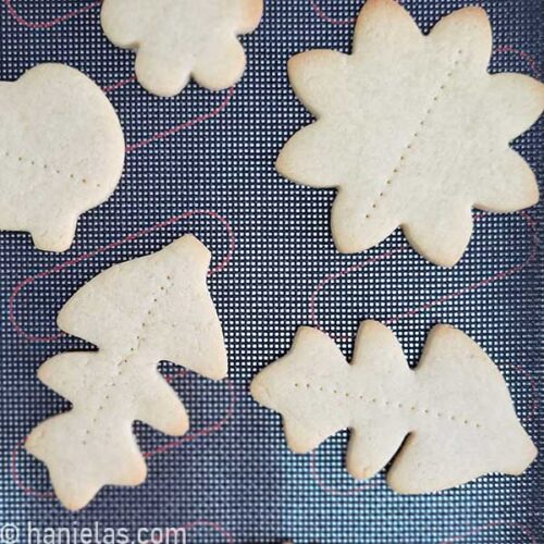 Ultimate Guide To Cut Out Cookies - Haniela's